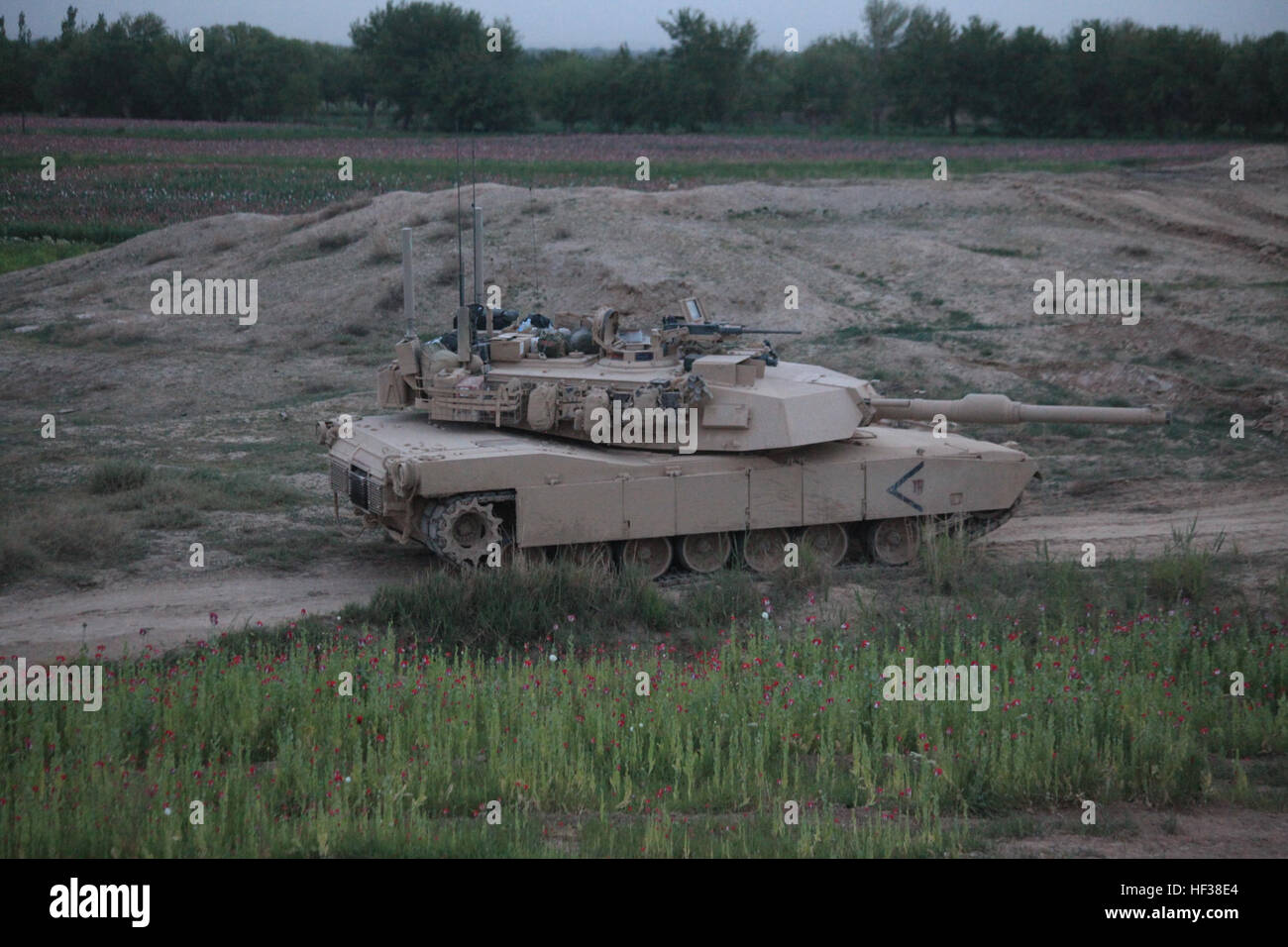 U.S. Marines with 1st Platoon, Delta Company, 1st Tank Battalion ...