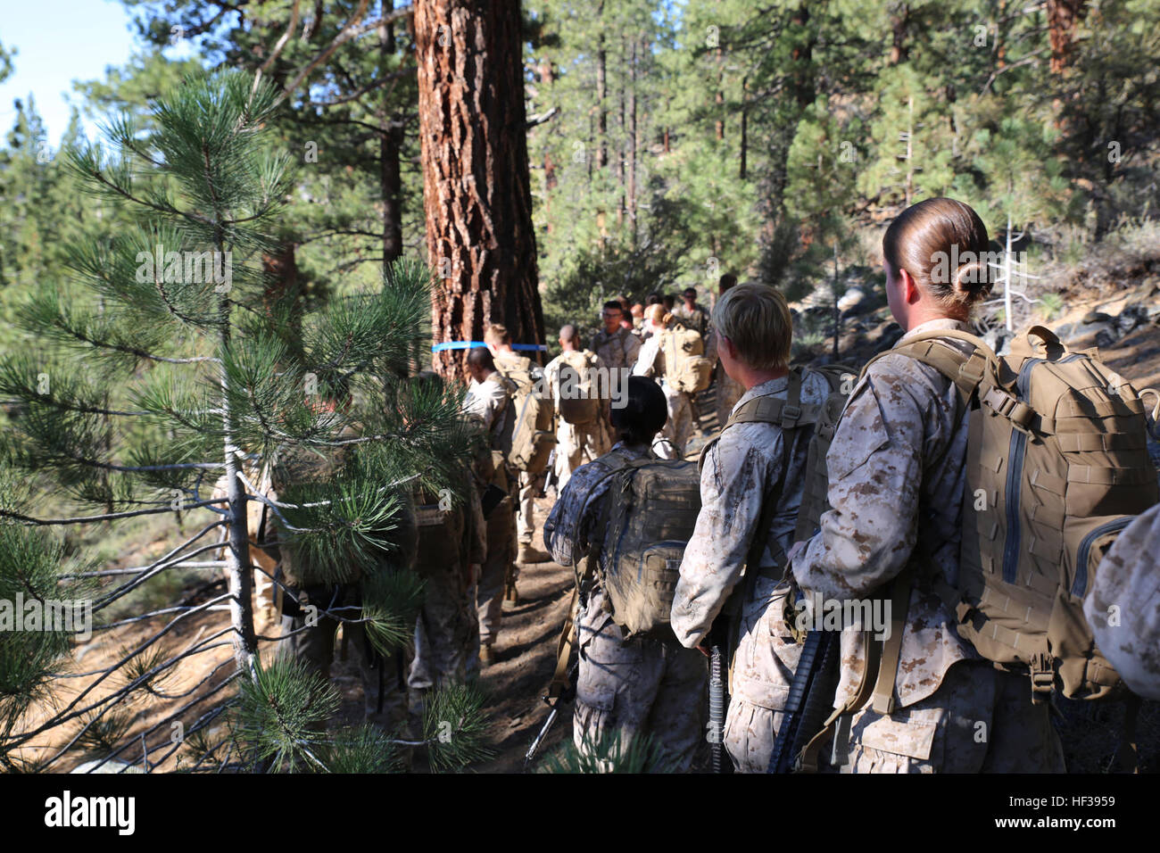 Marines with Engineer Platoon, Headquarters and Service Company, Ground ...