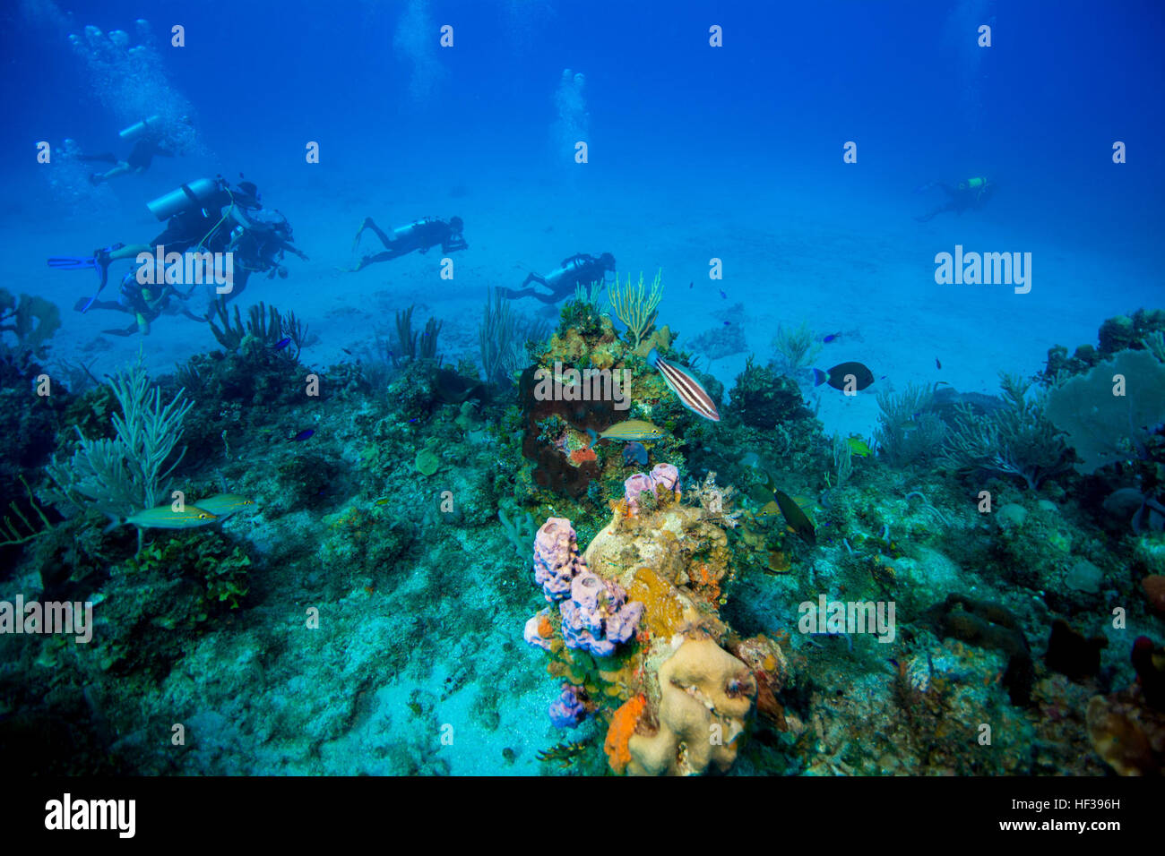 Residents from Montana enjoy scuba diving in the Caribbean, May 3, 2015 ...