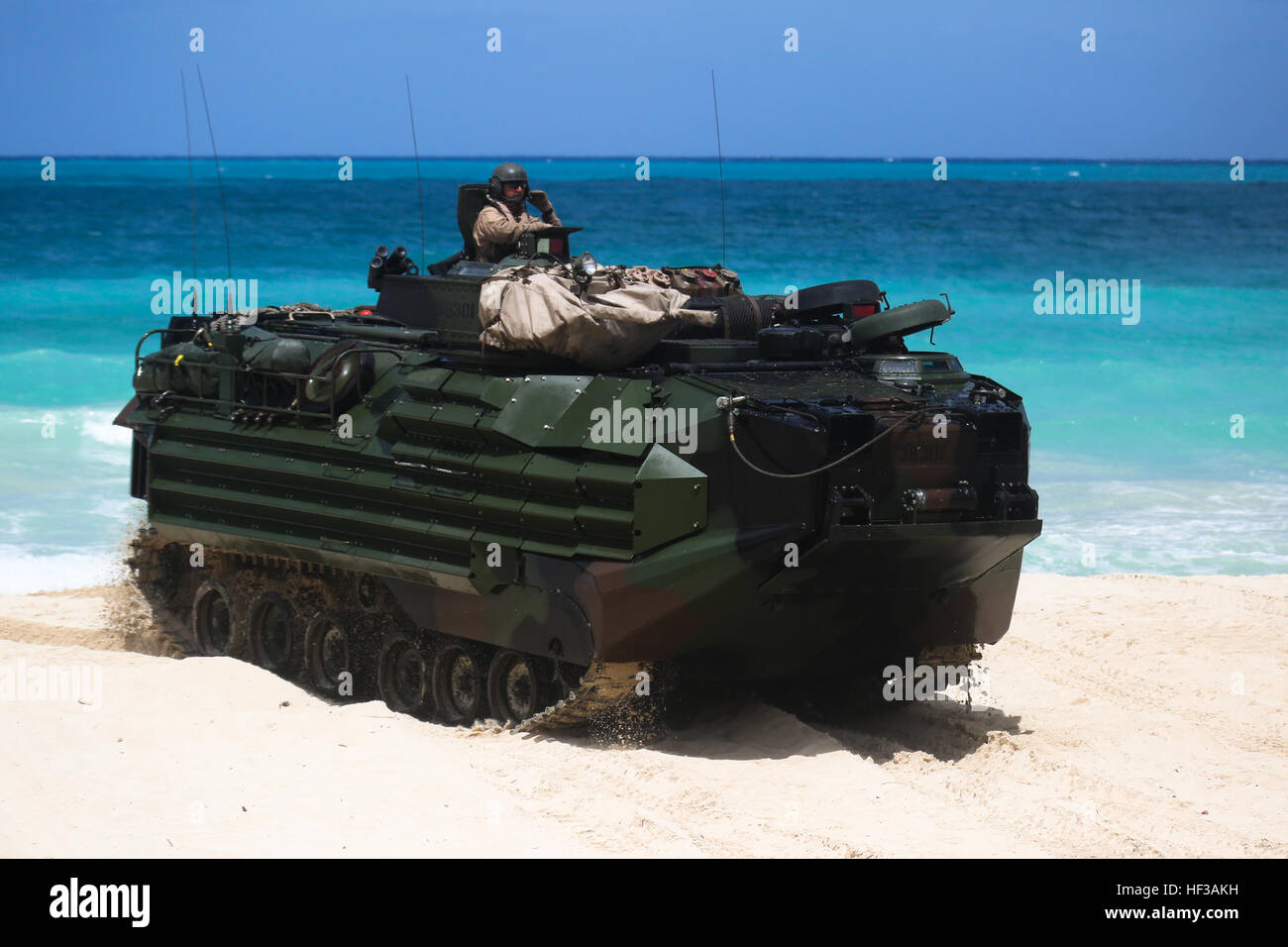 Culebra koa 15 hi-res stock photography and images - Alamy