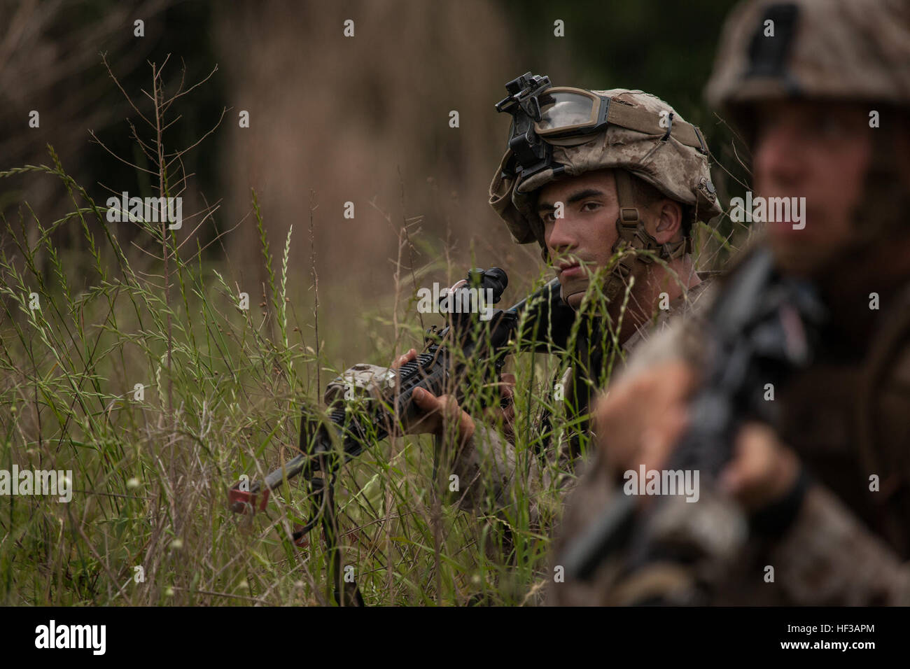Marine corps combat engineer hi-res stock photography and images - Alamy