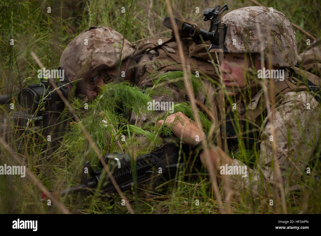 U.S. Marine Corps Pfc. Samael Budde and Pfc. Joshua Gomez, combat ...