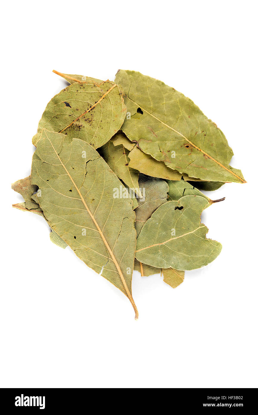Whole bay leaves isolated on white background Stock Photo - Alamy