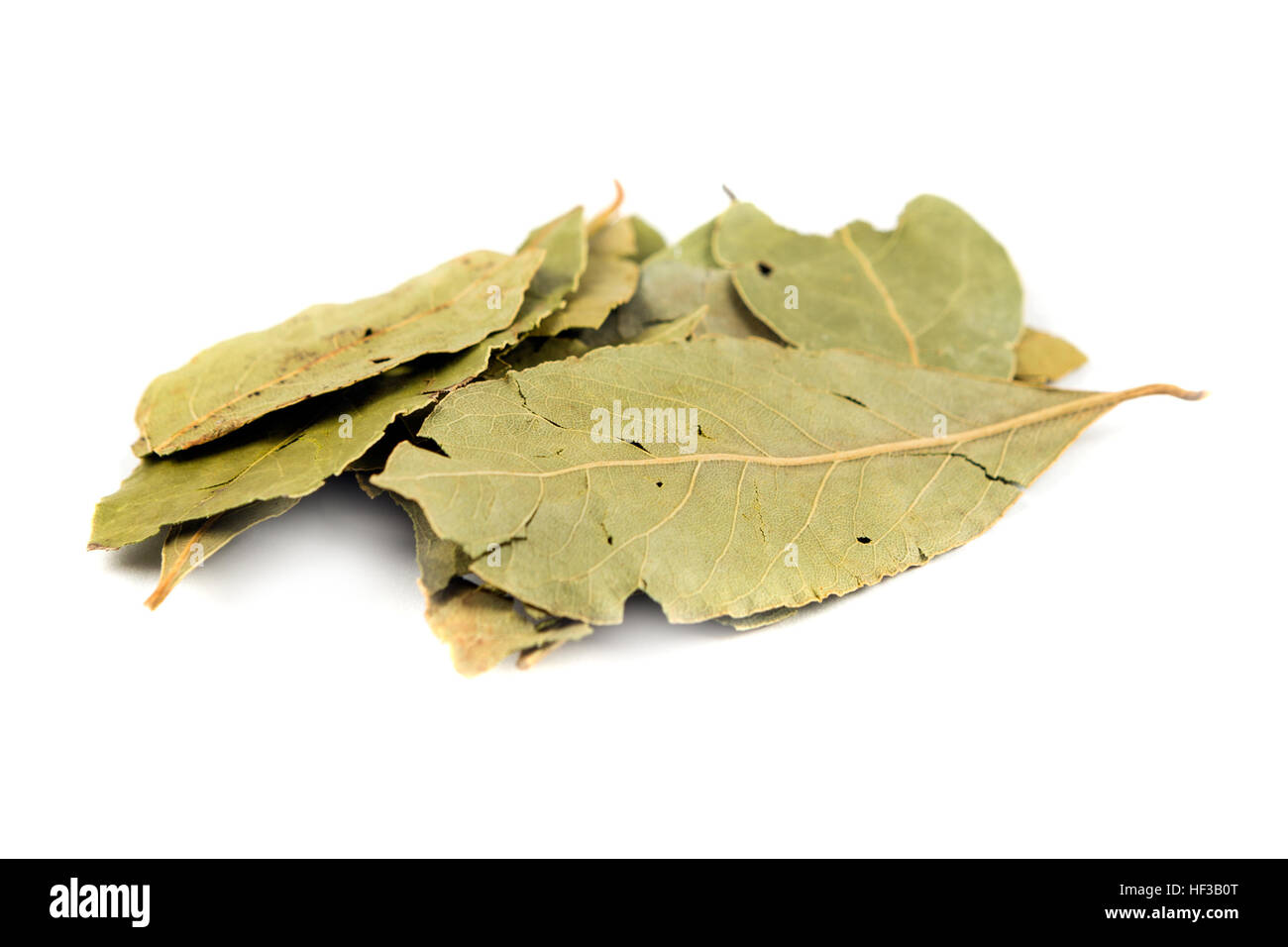 Whole bay leaves isolated on white background Stock Photo - Alamy