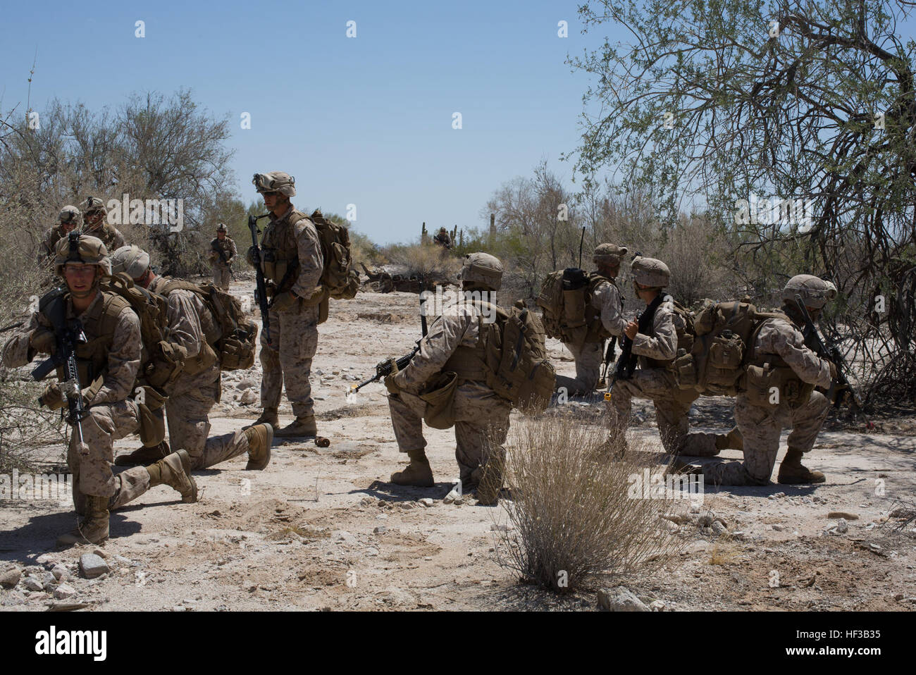 U.S. Marines with Lima Company, 3rd Battalion, 8th Marines, (3/8 ...