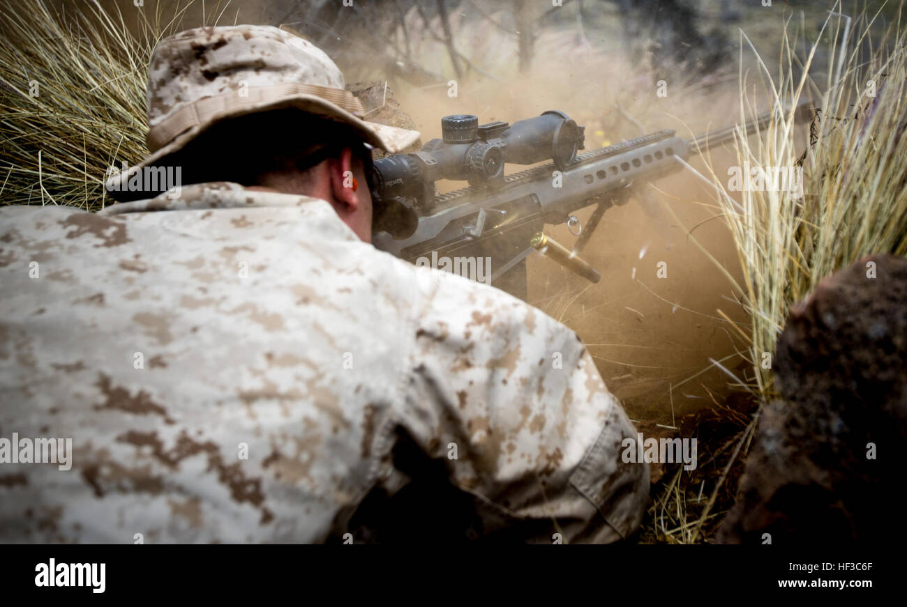 A U.S. Marine attached to Scout Sniper Platoon, Weapons Company, 1st ...