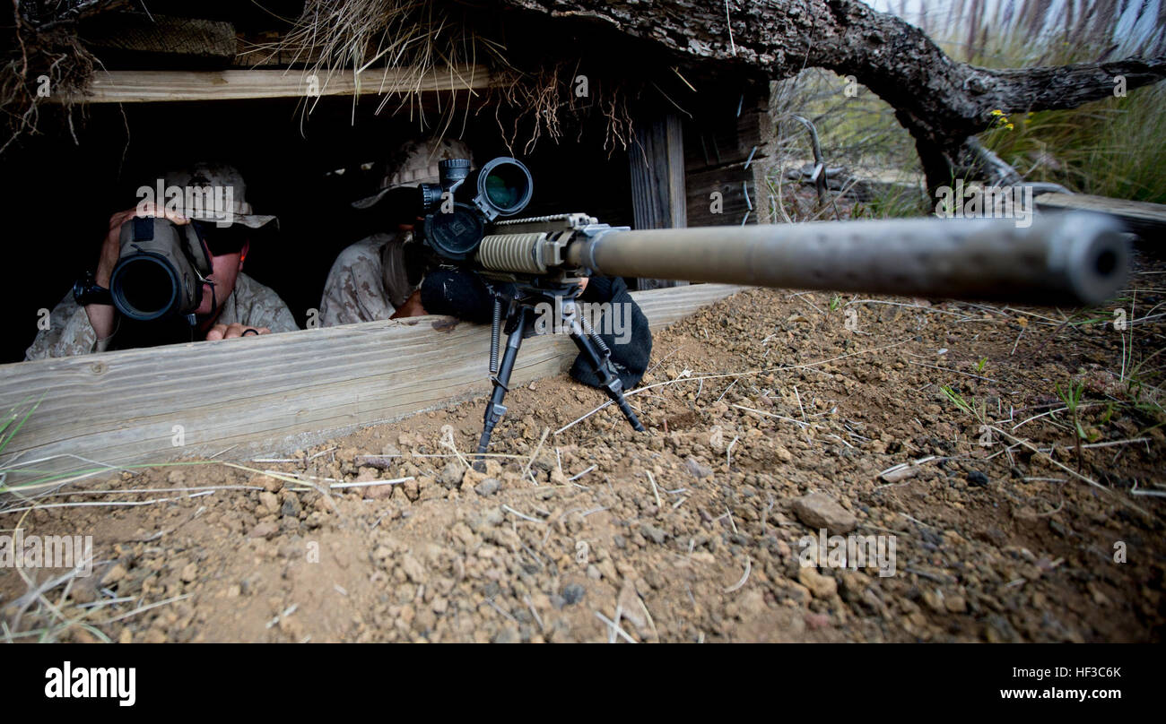 U.S. Marines attached to Scout Sniper Platoon, Weapons Company, 1st ...