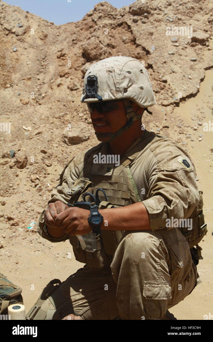 3rd Light Armored Reconnaissance Battalion Wolfpack High Resolution ...