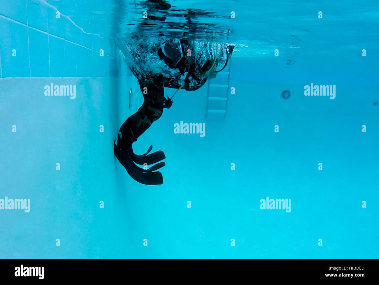 Navy divers and Marines with 1st Marine Special Operations Battalion ...