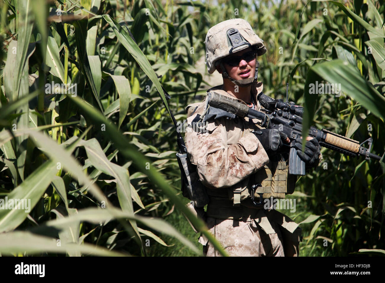 U.S. Marine Corps Sgt. Tyler Hughes, with Alpha Company, 1st Battalion ...