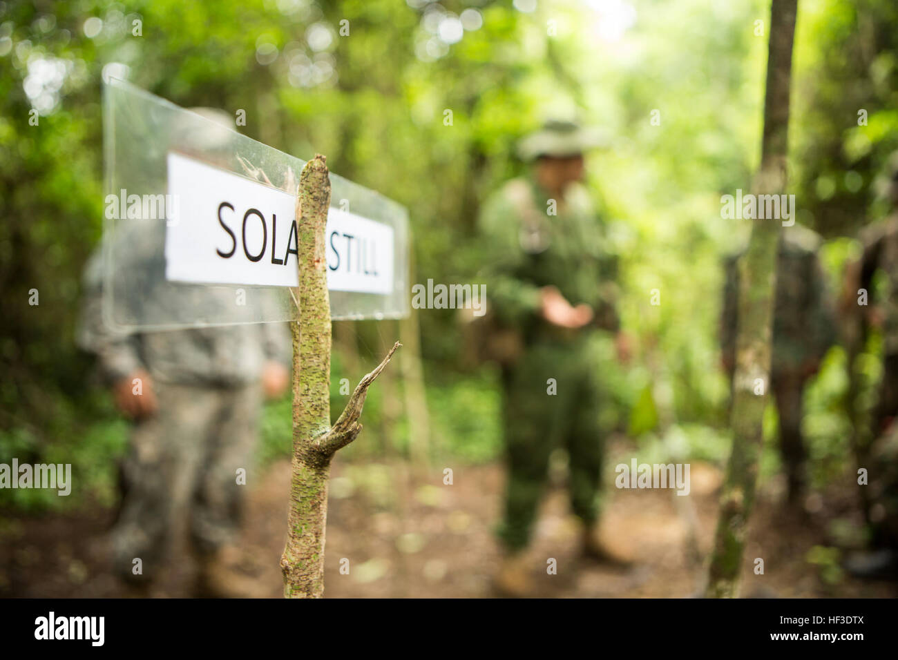 A Belize Defence Force soldier shows multinational forces how to trap ...