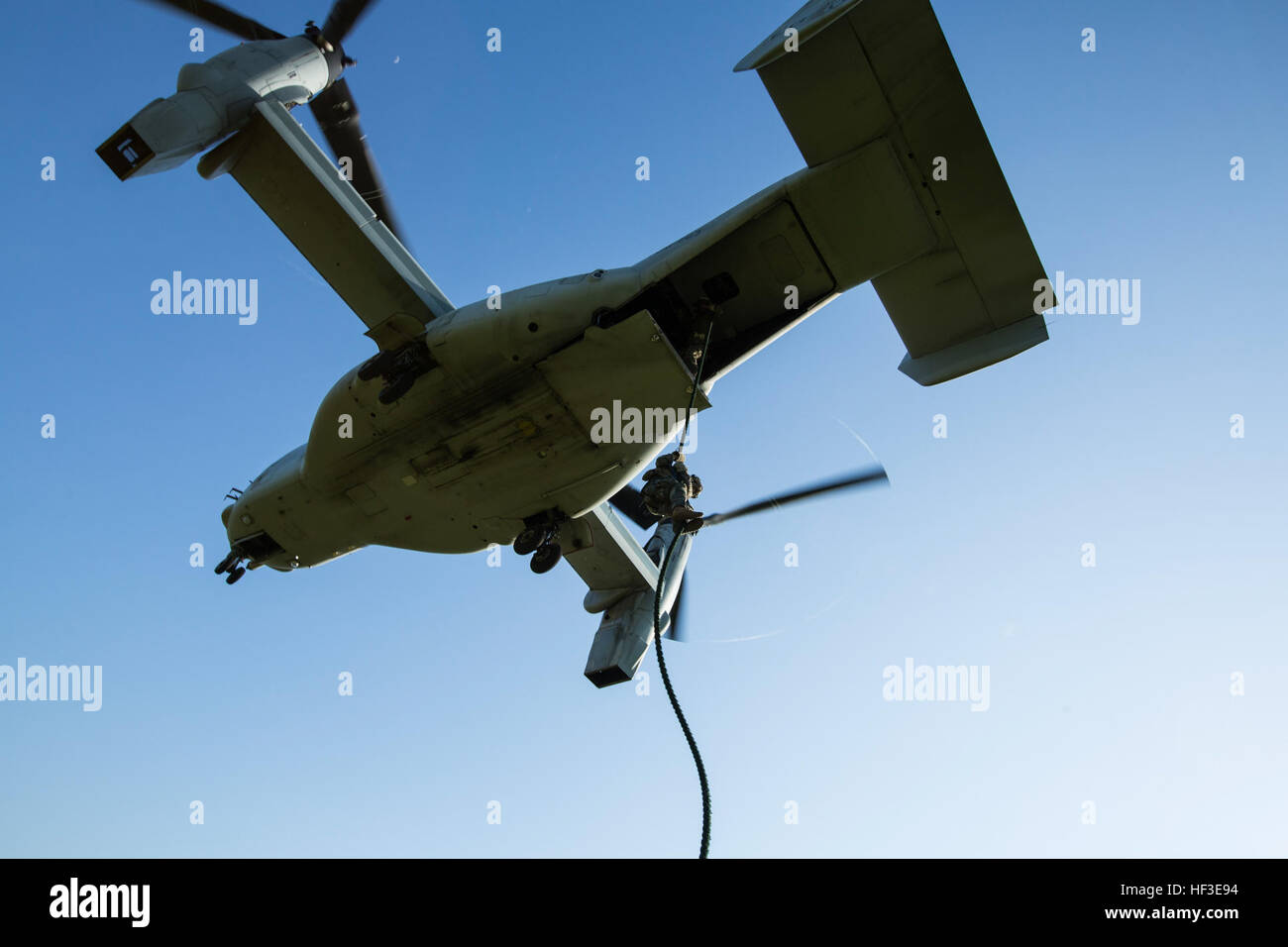 A U.S. Marine, assigned to Marine Special Operations Command (MARSOC ...