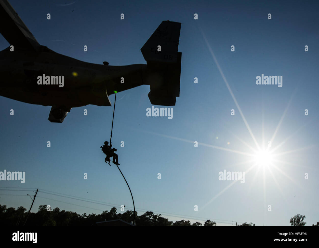 A U.S. Marine Corps multi-purpose canine handler and his dog, both ...