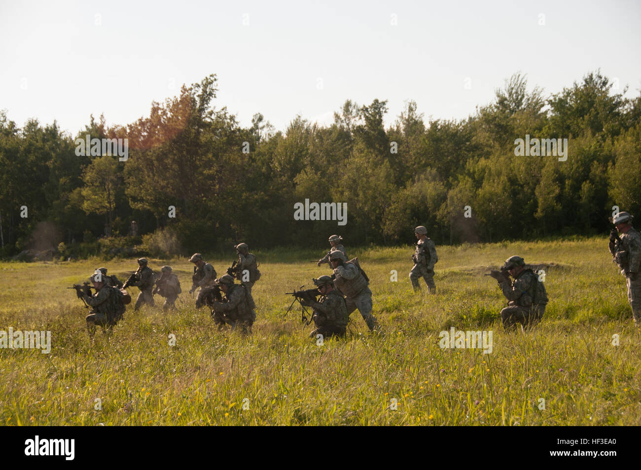 U.S. Army Soldiers with A Company, 3rd Battalion, 172nd Infantry ...