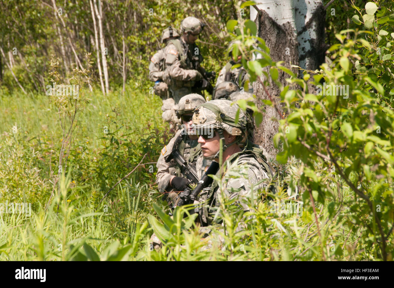 U.S. Army Soldiers with A Company, 3rd Battalion, 172nd Infantry ...