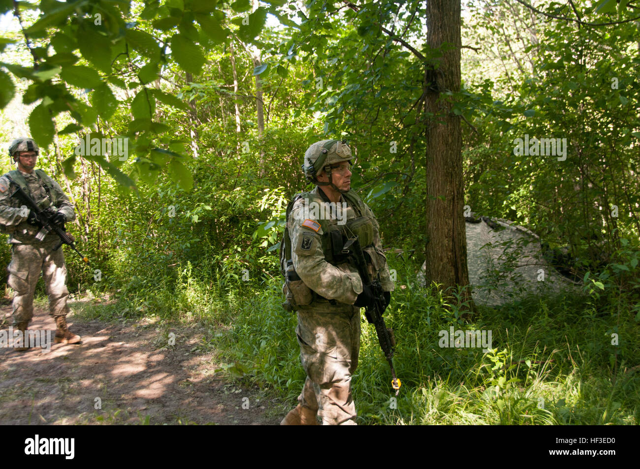 A U.S. Army Soldier with A Company, 3rd Battalion, 172nd Infantry ...