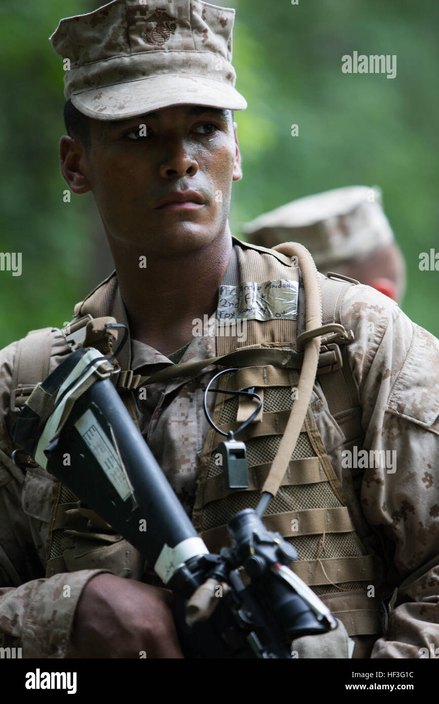 U.S. Marine Corps Pfc. Flavio C. Arecomaidana, an entry-level Marine ...