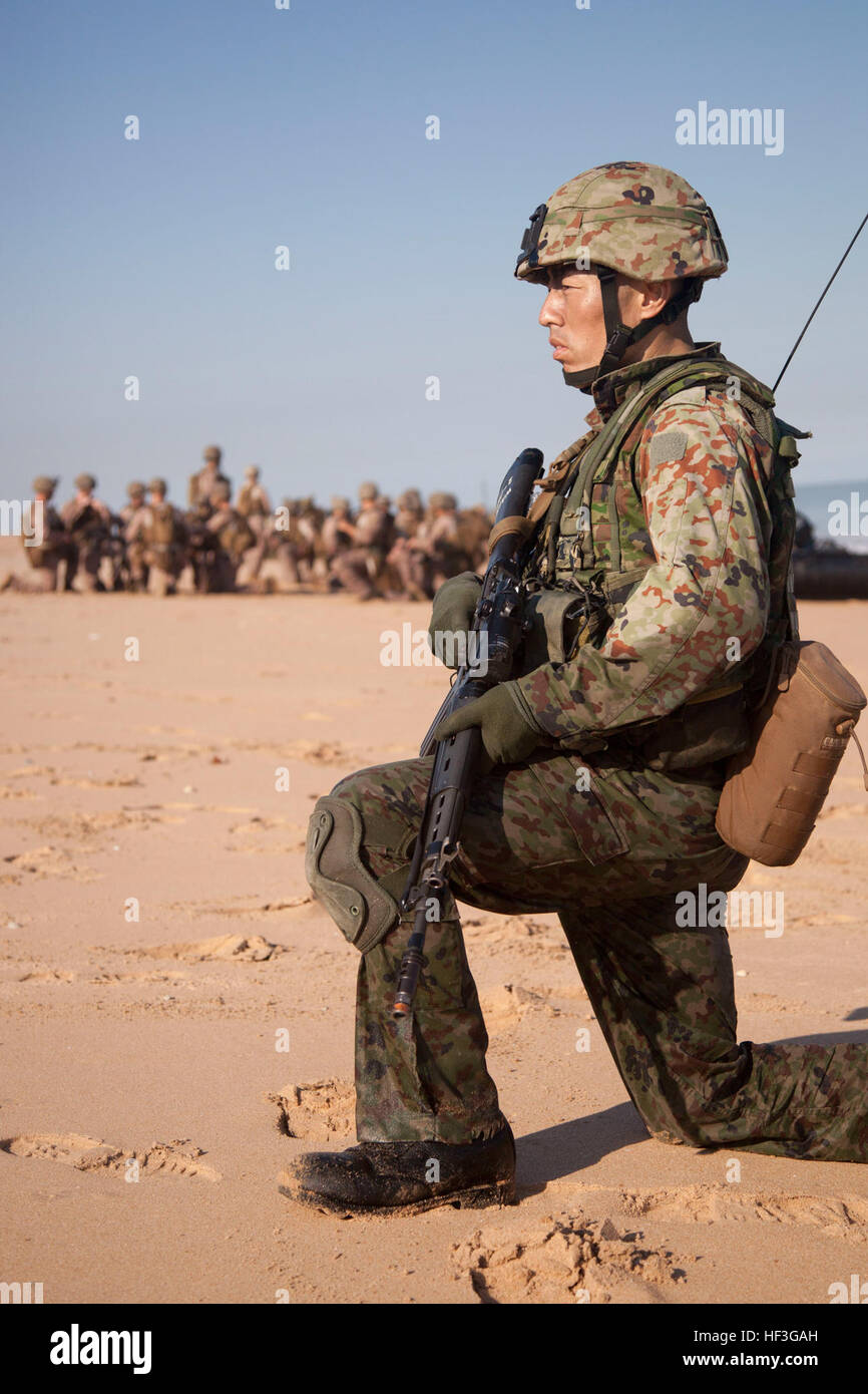 A Japanese soldier from the Japanese Self Defense Force attached to the ...