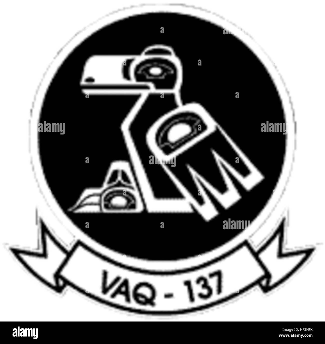 Electronic Attack Squadron 137 (US Navy) patch 2014 Stock Photo - Alamy
