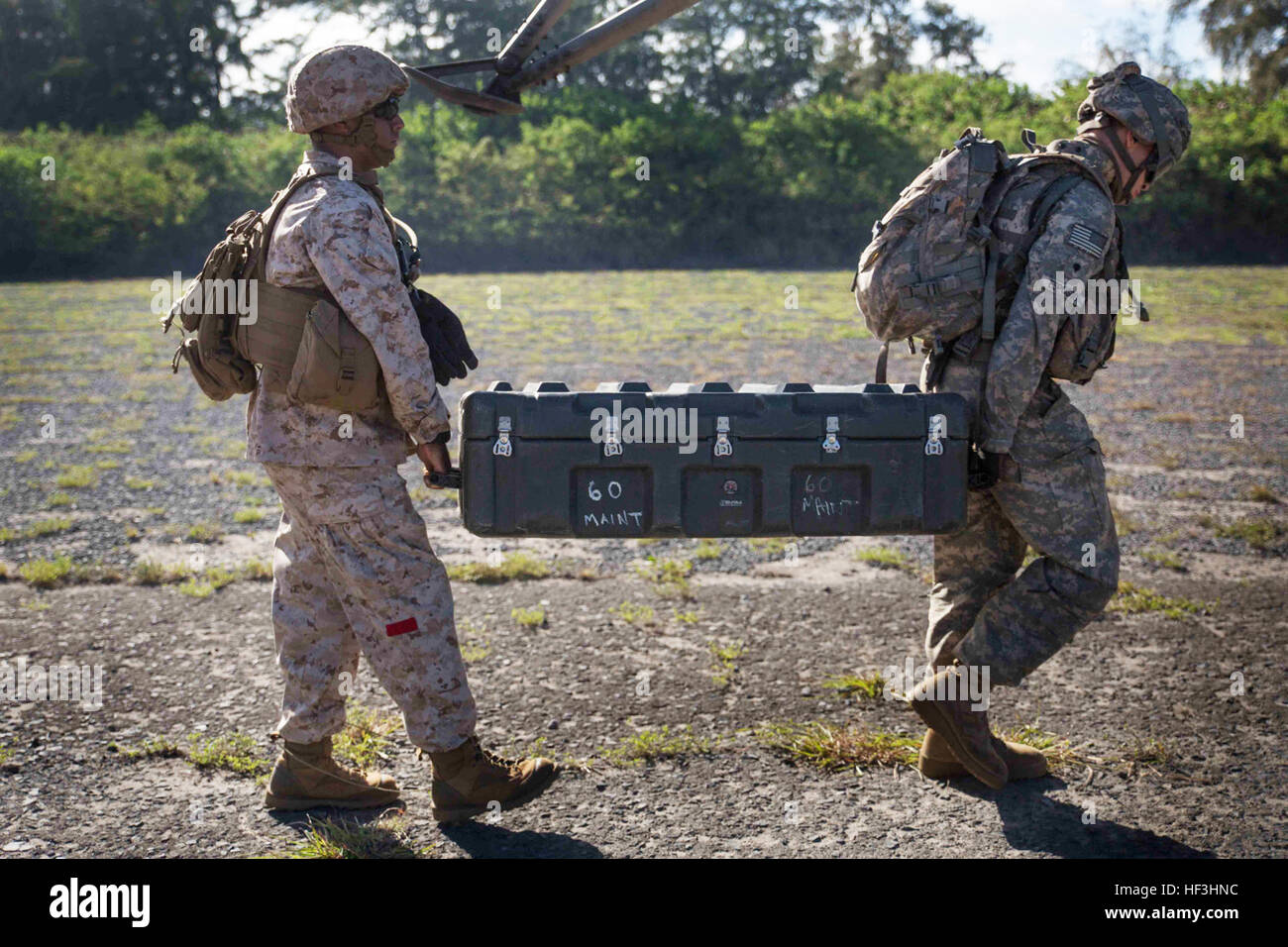 Marine team members carry hi-res stock photography and images - Alamy