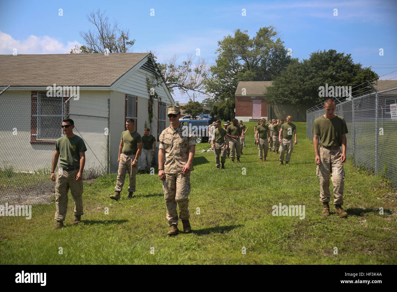 Marines with 2nd Battalion, 6th Marine Regiment, use a patrol formation ...