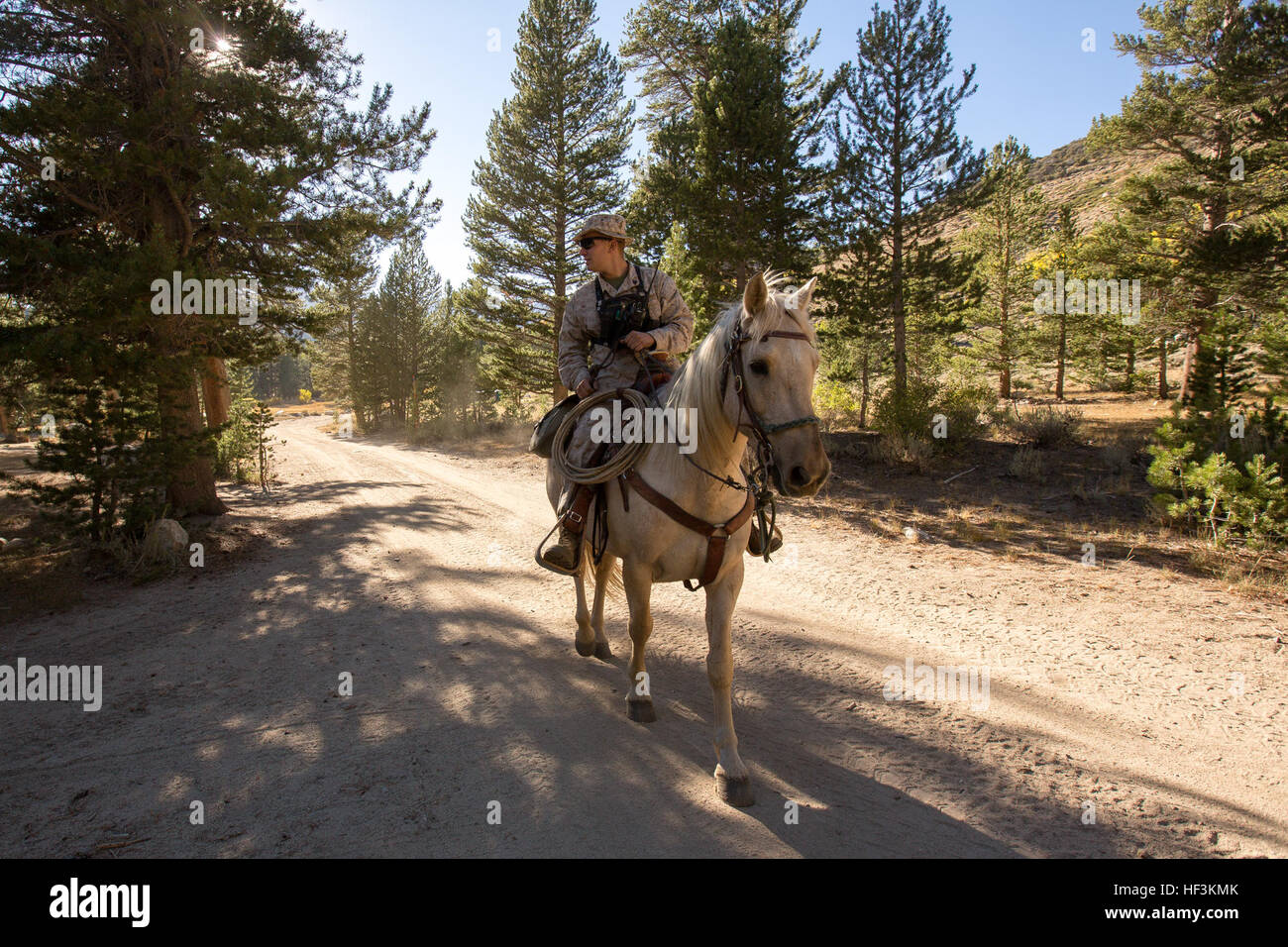 U.S. Marine Corps Sgt. Thomas R. Buteyn, animal packer instructor ...