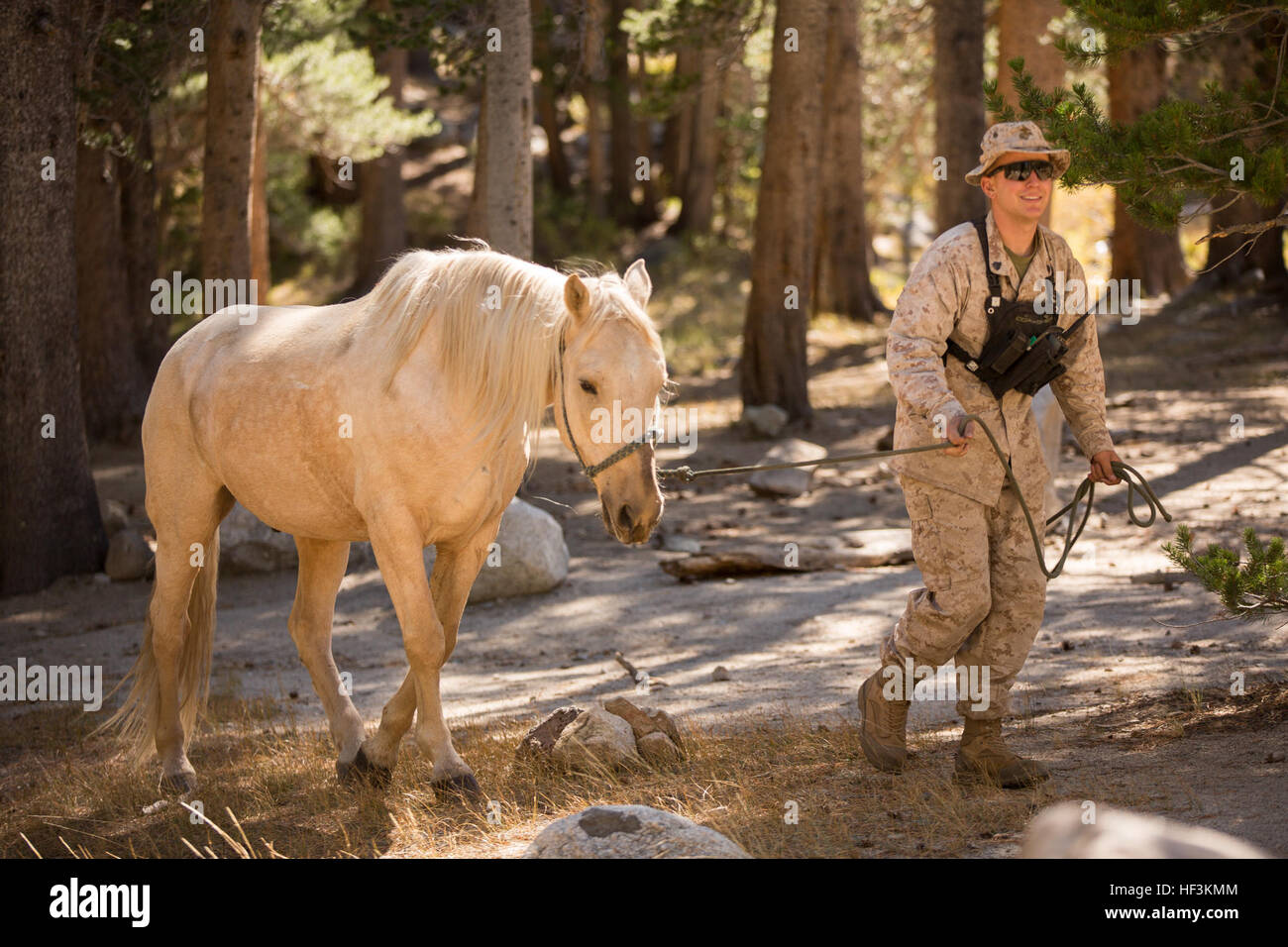 U.S. Marine Corps Sgt. Thomas R. Buteyn, animal packer instructor ...