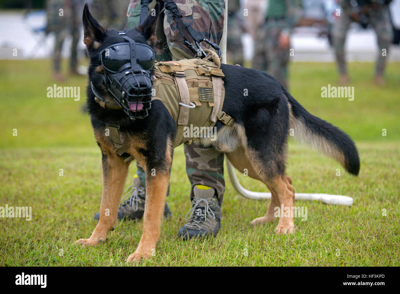 Marsoc marine raider regiment hi-res stock photography and images - Alamy