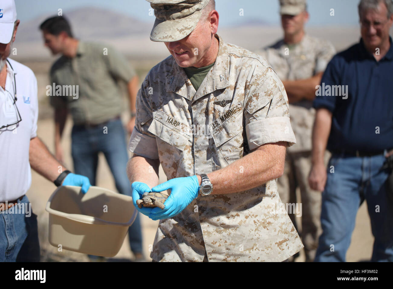 Combat Center Chief of Staff, Col. James F. Harp releases tortoise 2-4 ...