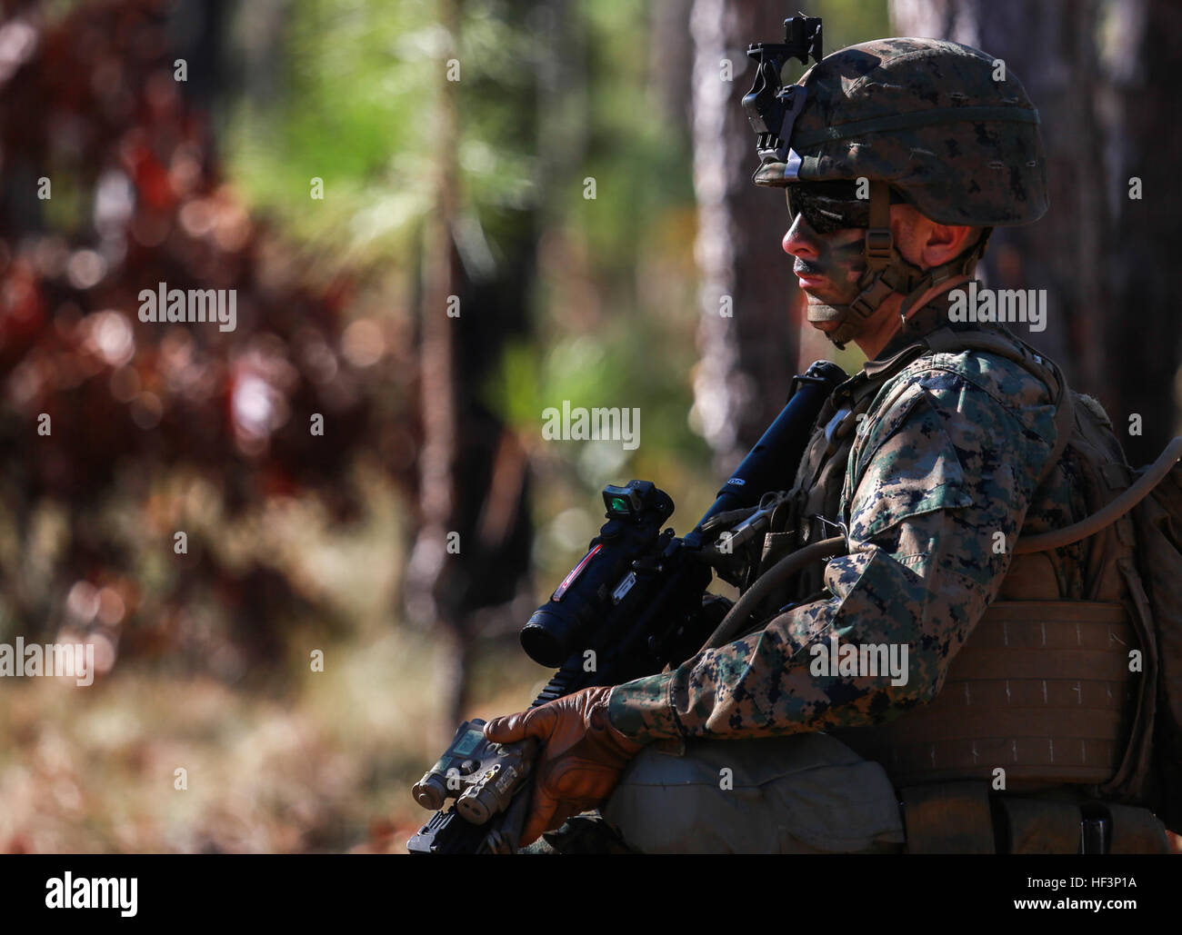 A U.S. Marine with Battalion Landing Team, 1st Battalion, 6th Marine ...