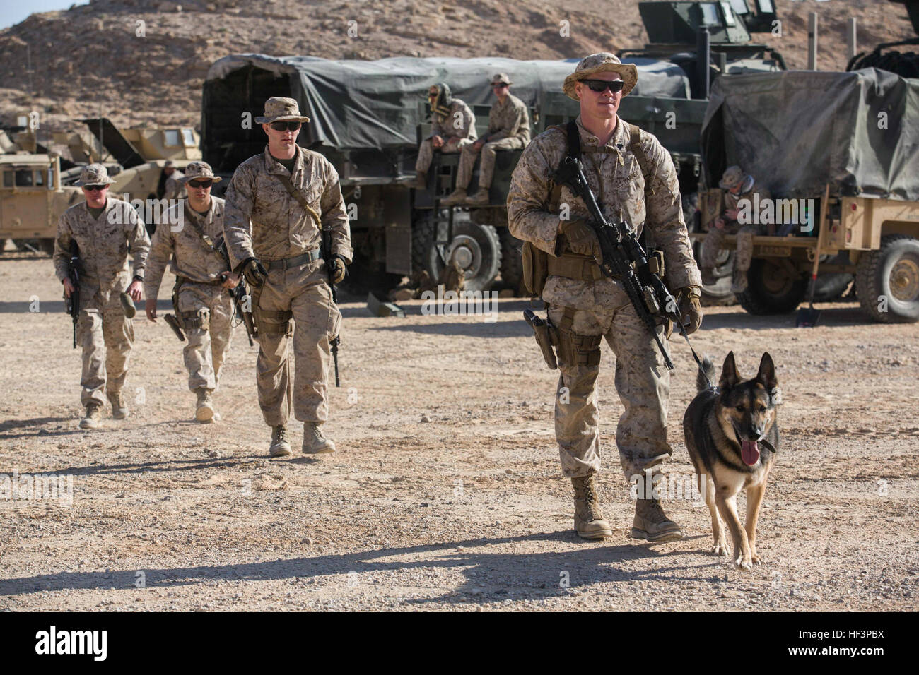 Law enforcement combat training hi-res stock photography and images - Alamy