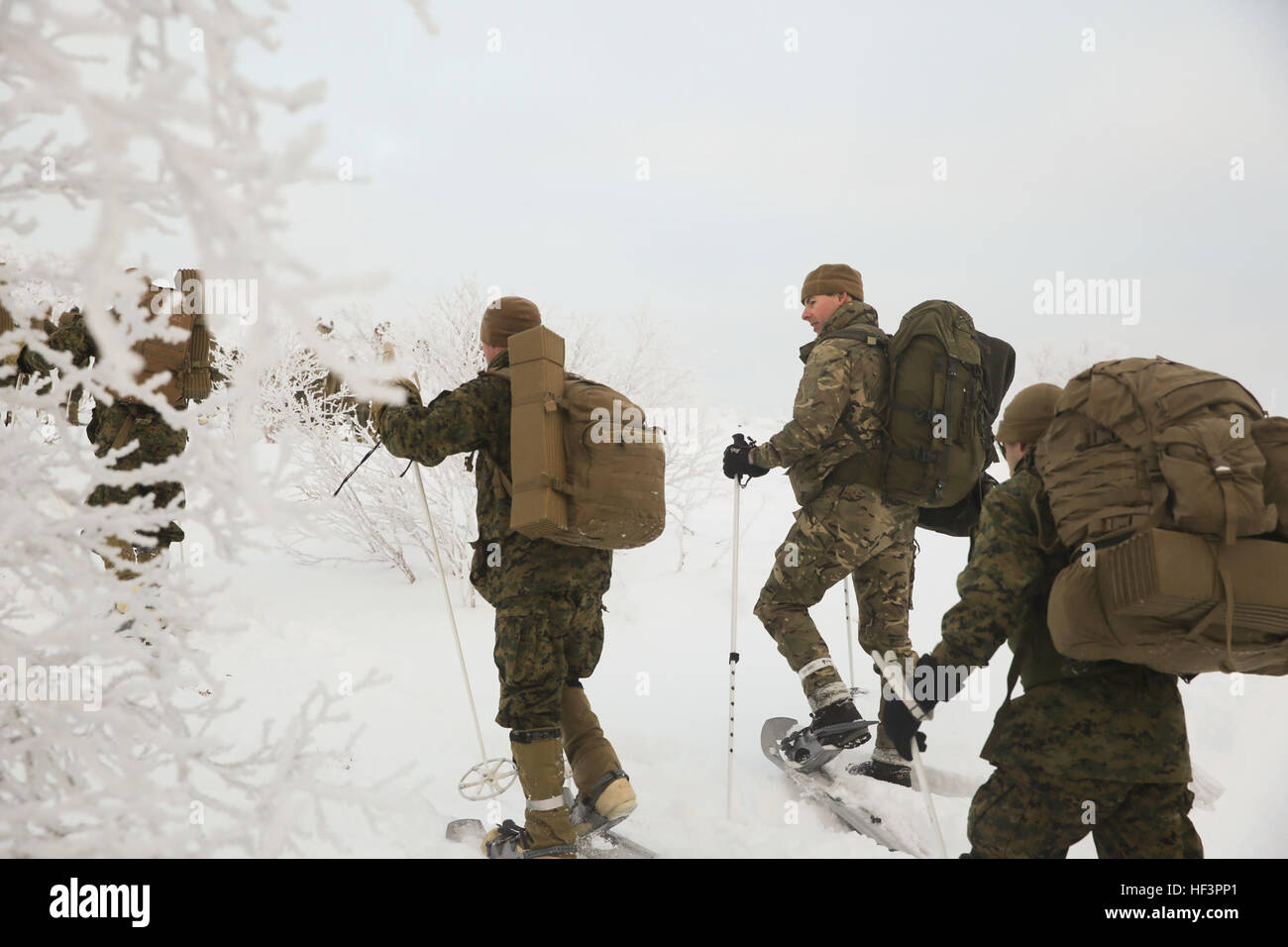 Marines with Black Sea Rotational Force hike to the Allied Training ...