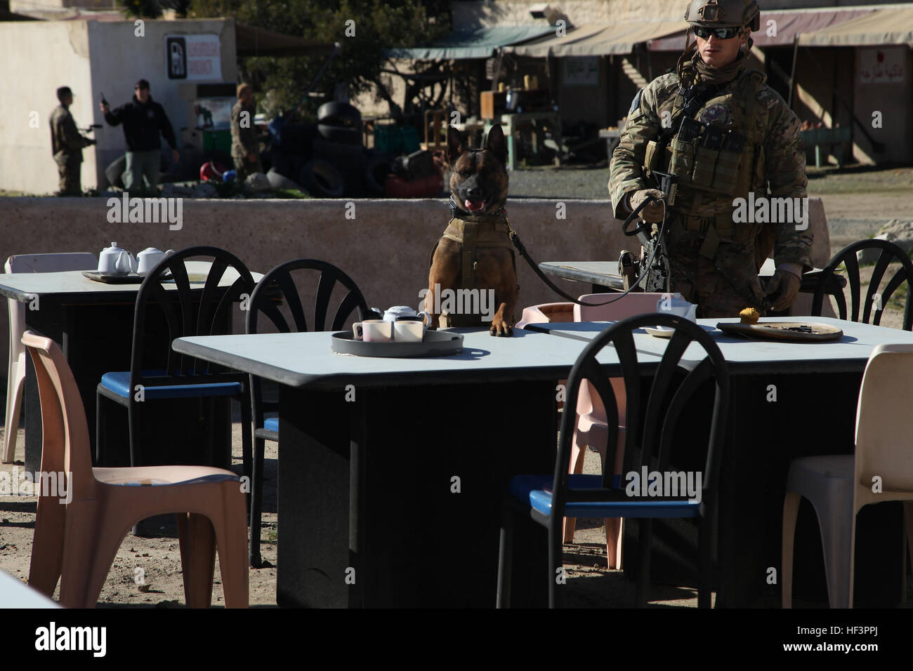 A U.S. Army Ranger canine participates in an open area detection ...