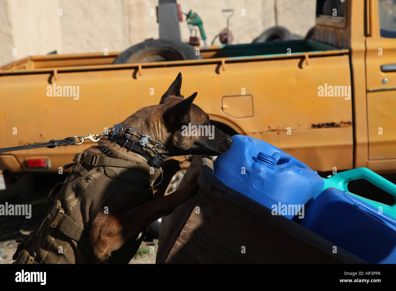 U s marine multipurpose canine marine hi-res stock photography and ...