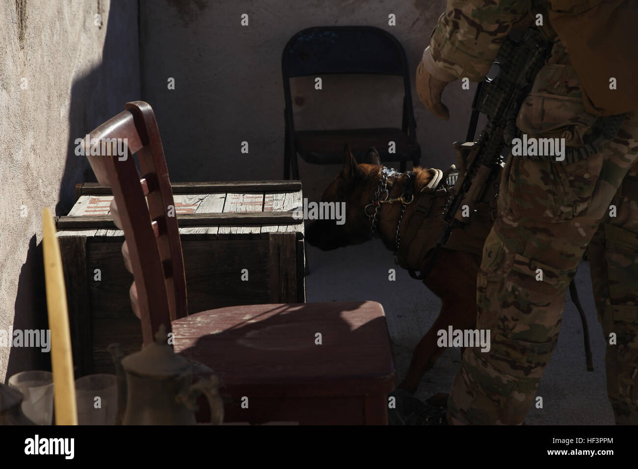 A multipurpose canine with the United States Army Rangers attempts to ...