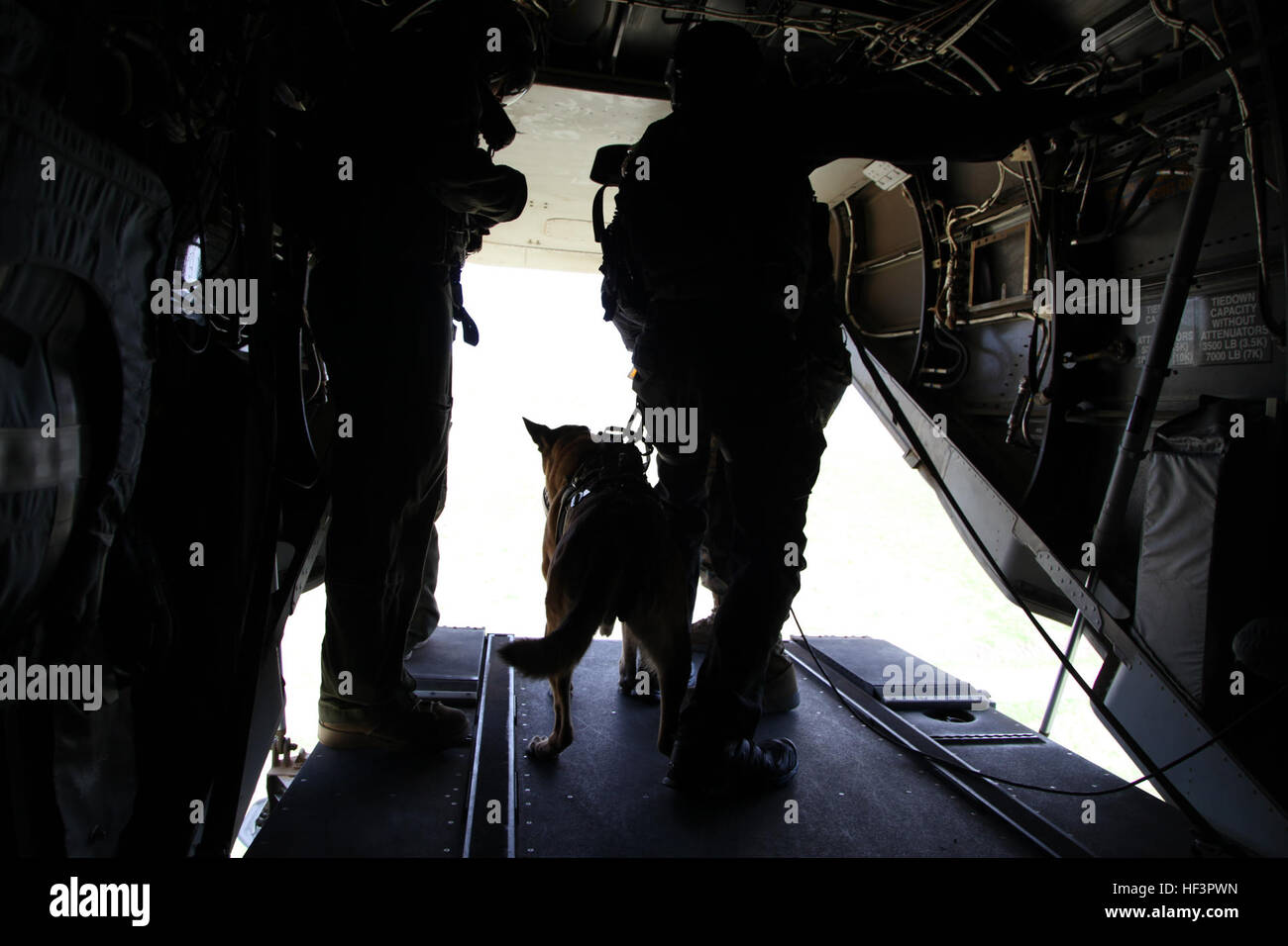 A U.S. Marine with Marine Corps Forces Special Operations Command ...
