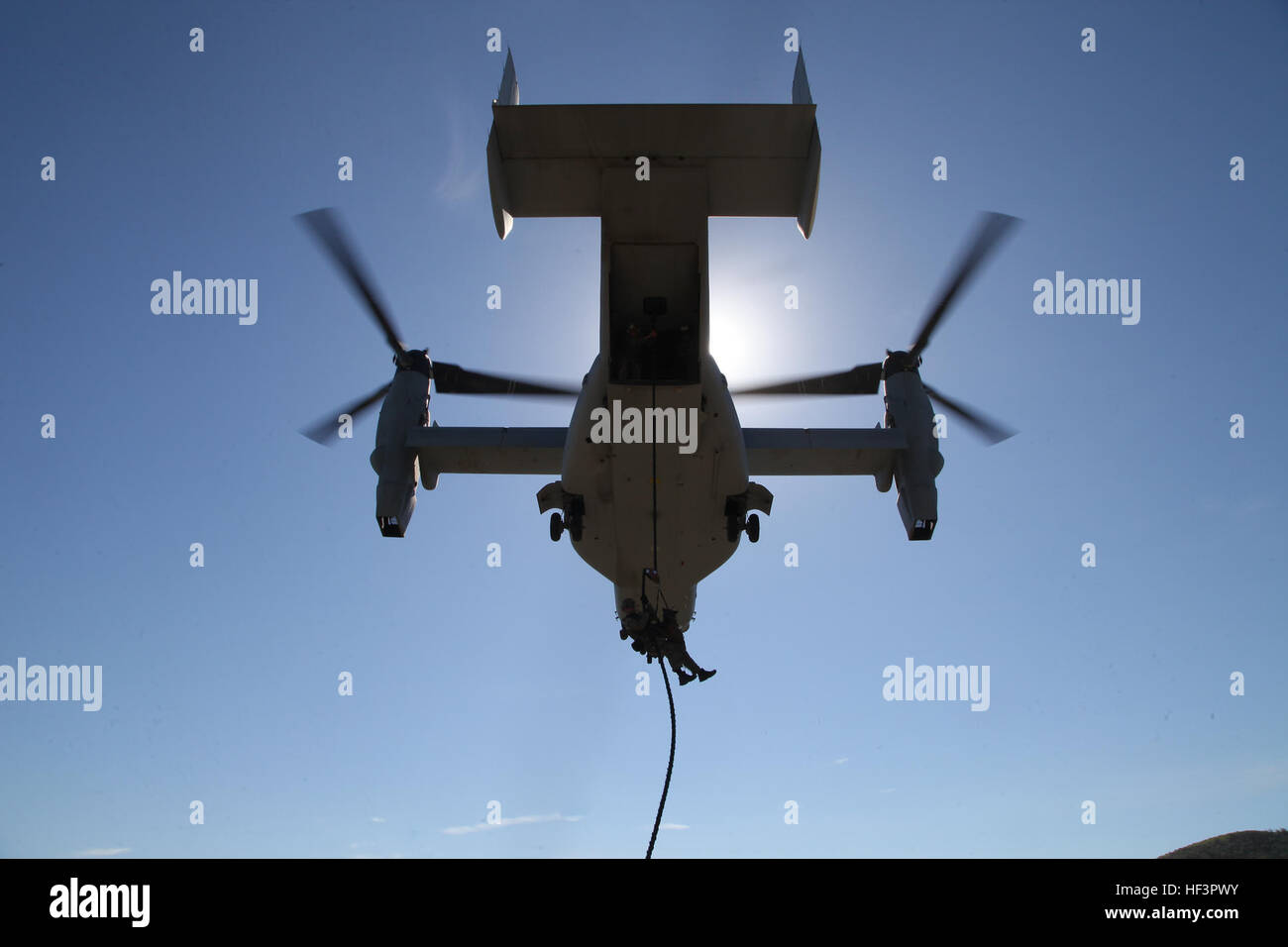 A U.S. Marine with Marine Corps Forces Special Operations Command ...