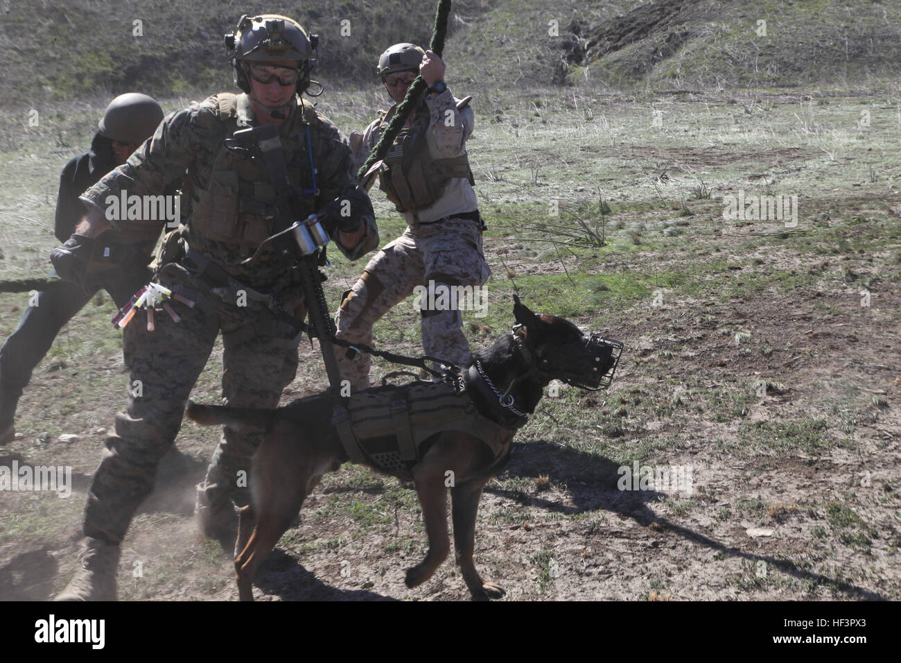 A U.S. Marine with Marine Corps Forces Special Operations Command ...