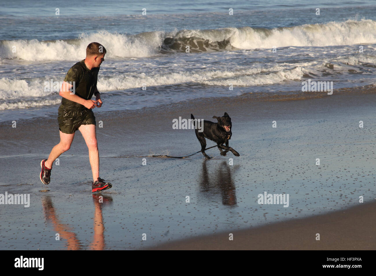 A U.S. Marine with Marine Corps Forces Special Operations Command ...