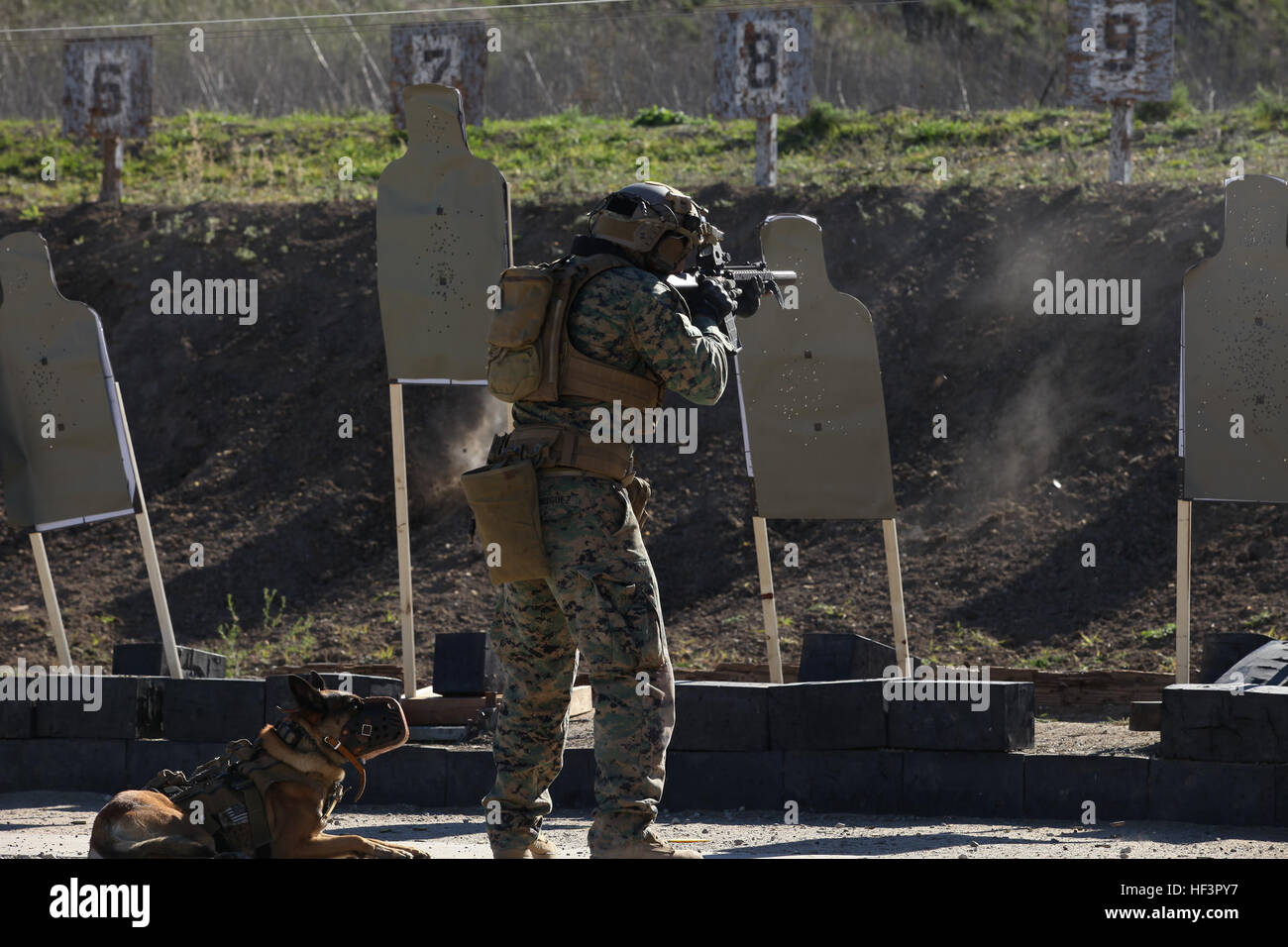 United states marine corps forces special operations command hi-res ...