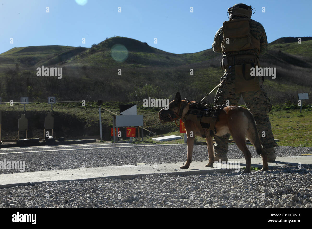 A U.S. Marine multipurpose canine handler, with the United States ...