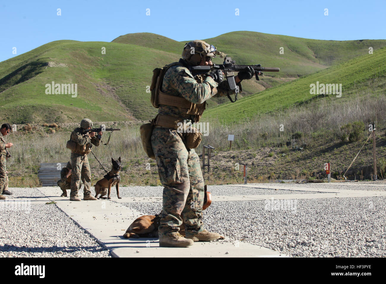 U.S. Marine multipurpose canine handlers, with the United States Marine ...