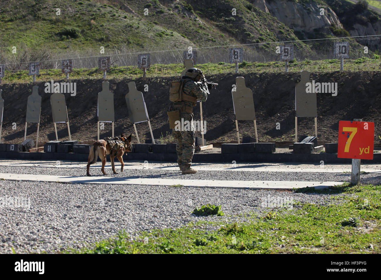 A U.S. Marine multipurpose canine handler, with the United States ...