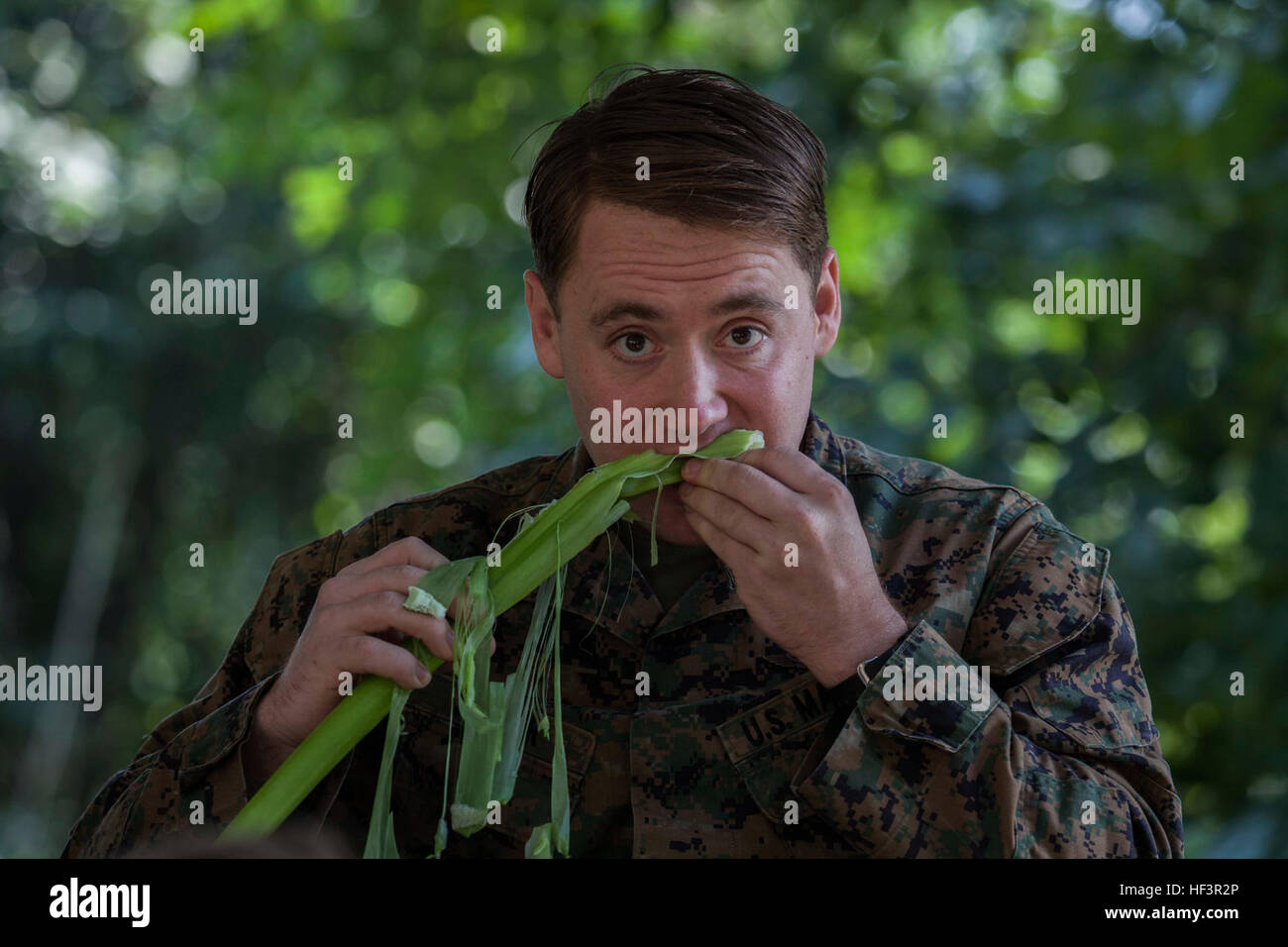 Royal marines operations in jungle hi-res stock photography and images ...