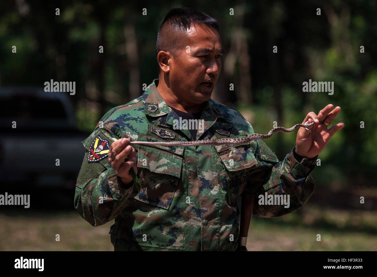 Republic korea royal thai hi-res stock photography and images - Alamy