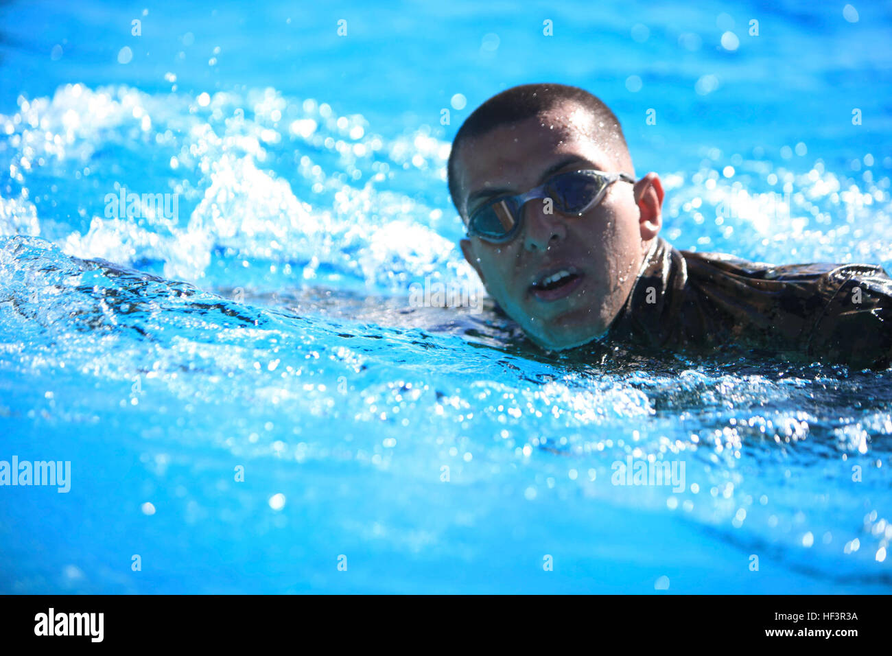 A U.S. Marine Multipurpose Dog Handler, with Marine Corps Forces ...