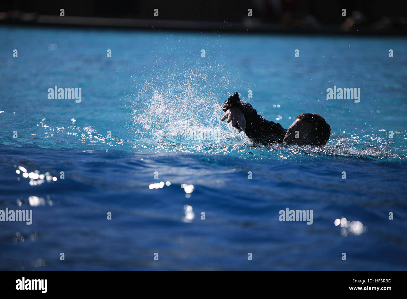 A MARSOC dog handler conducts swim exercises with a multipurpose ...