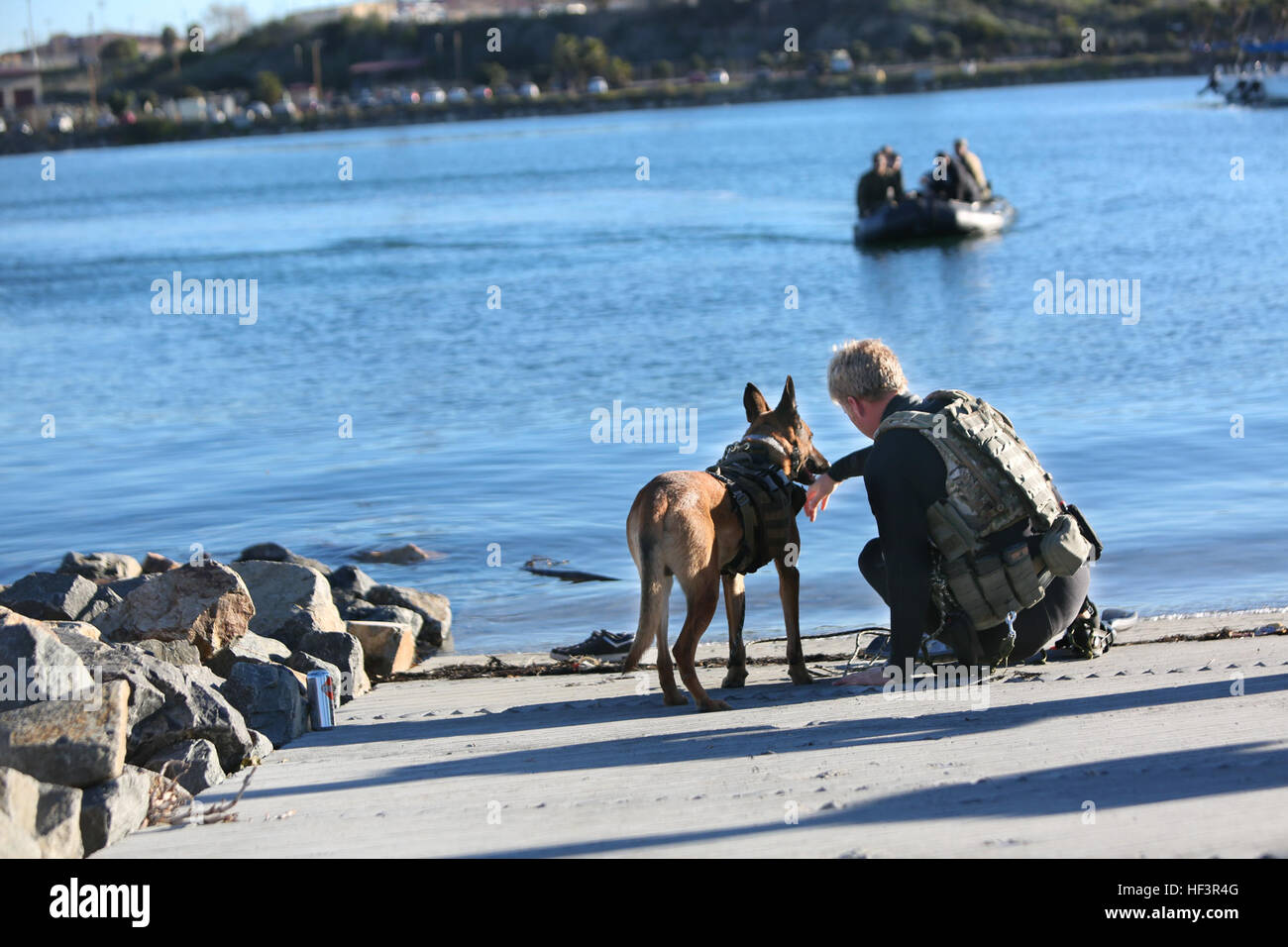 A Multi-Purpose Canine (MPC) handler with foreign special forces ...