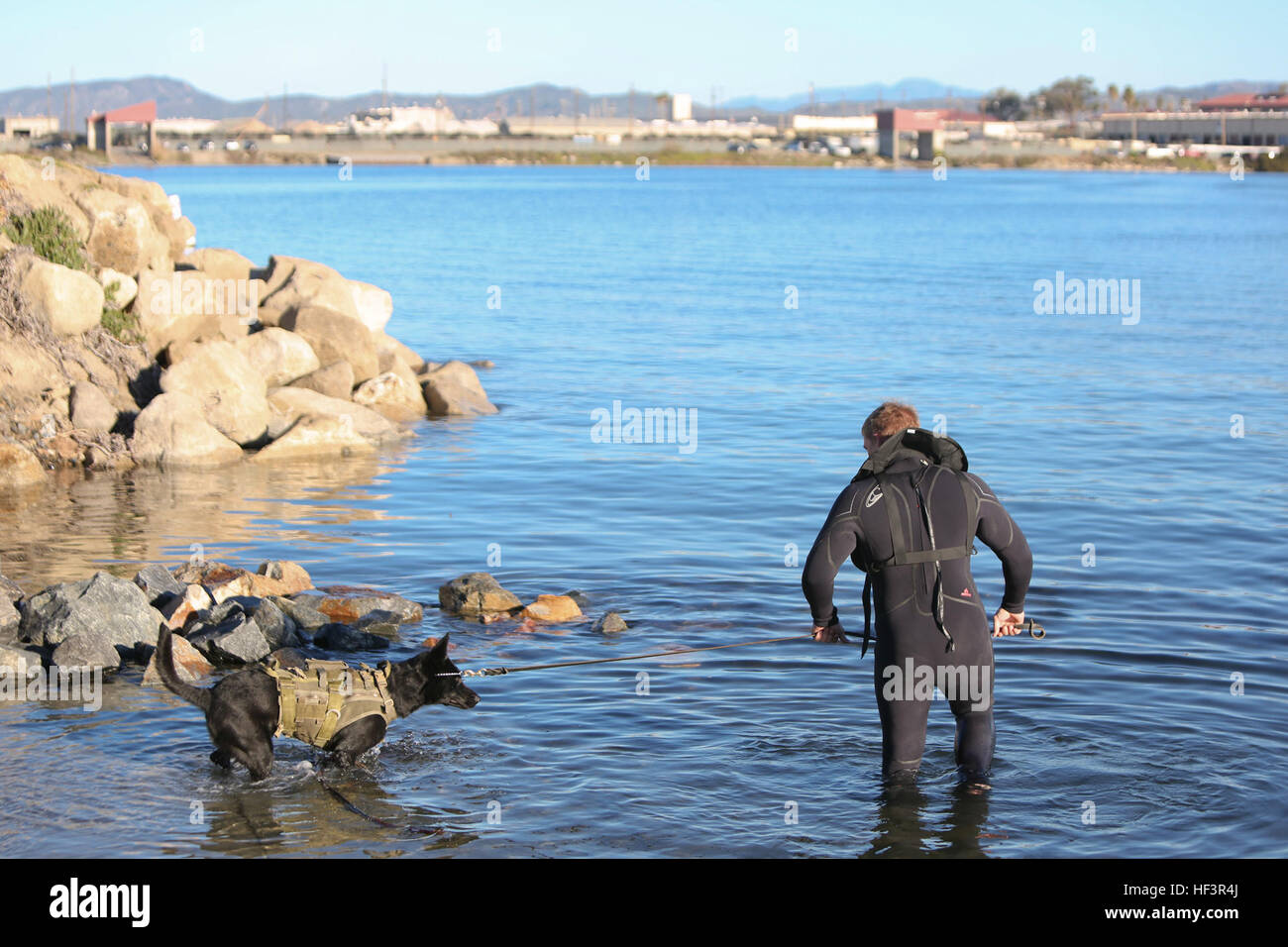 A Multi-Purpose Canine (MPC) handler with U.S. Marine Corps Forces ...