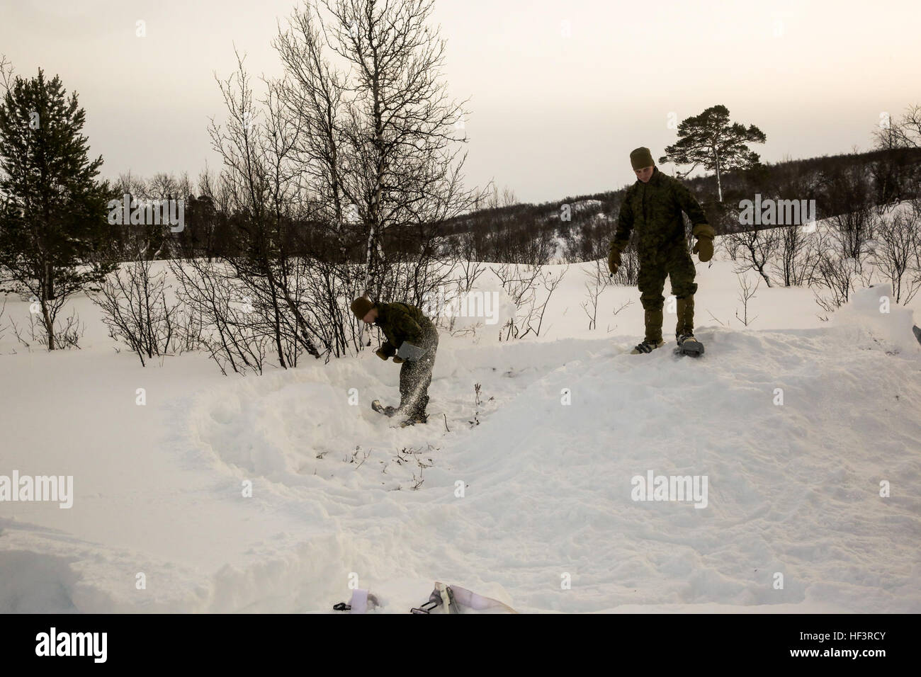 Marines with Black Sea Rotational Force dig their snow shelter for ...